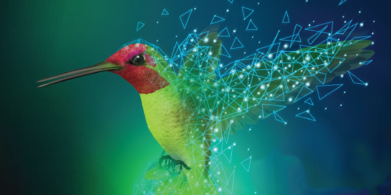 Catálogo General 2022 de Hitecsa, soluciones eficientes y sostenibles ...